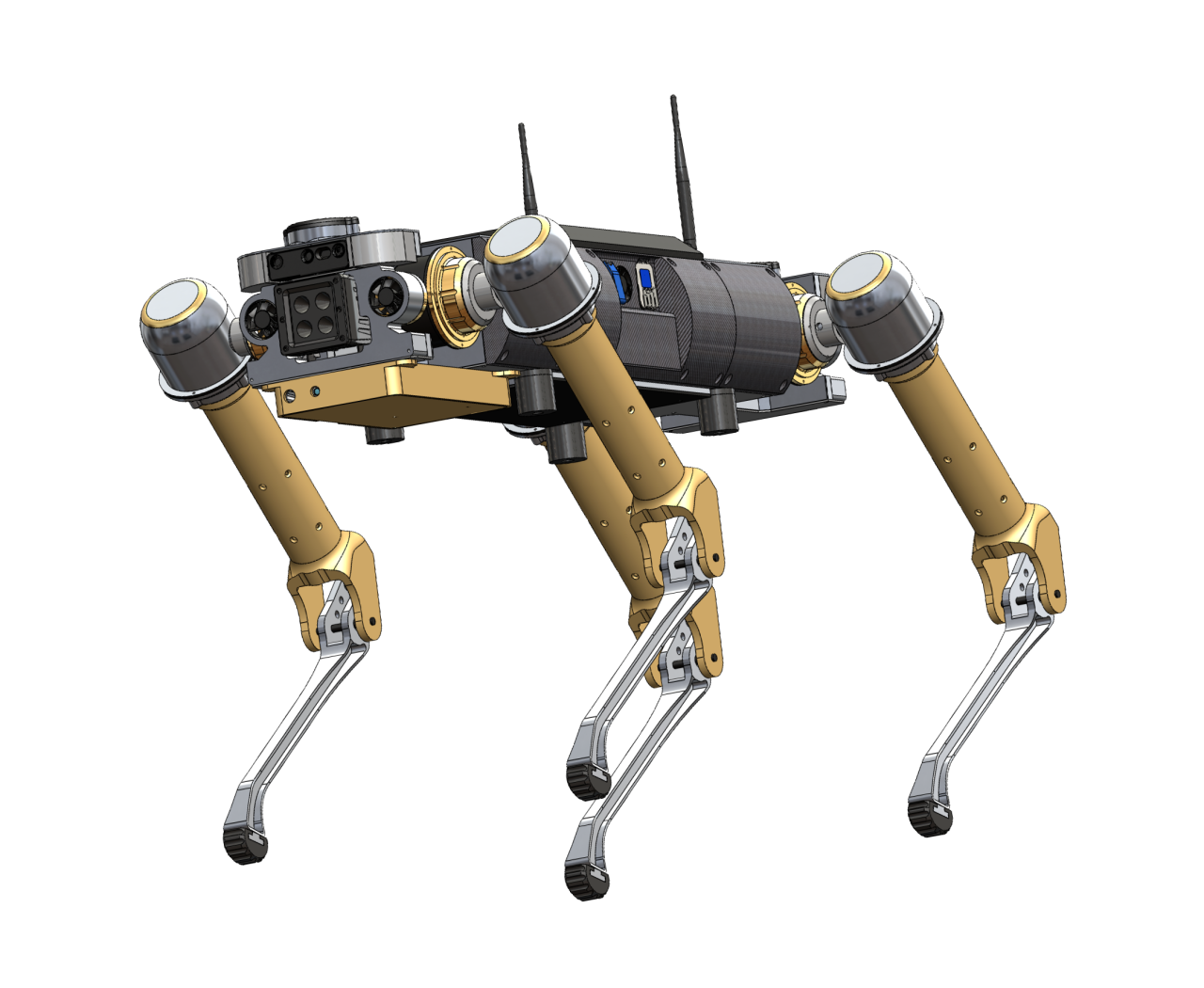 Shvana – Bhairav Robotics